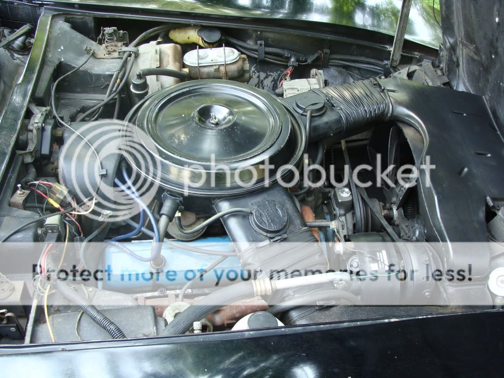 Anyone have a good '79 engine bay picture? - CorvetteForum - Chevrolet ...