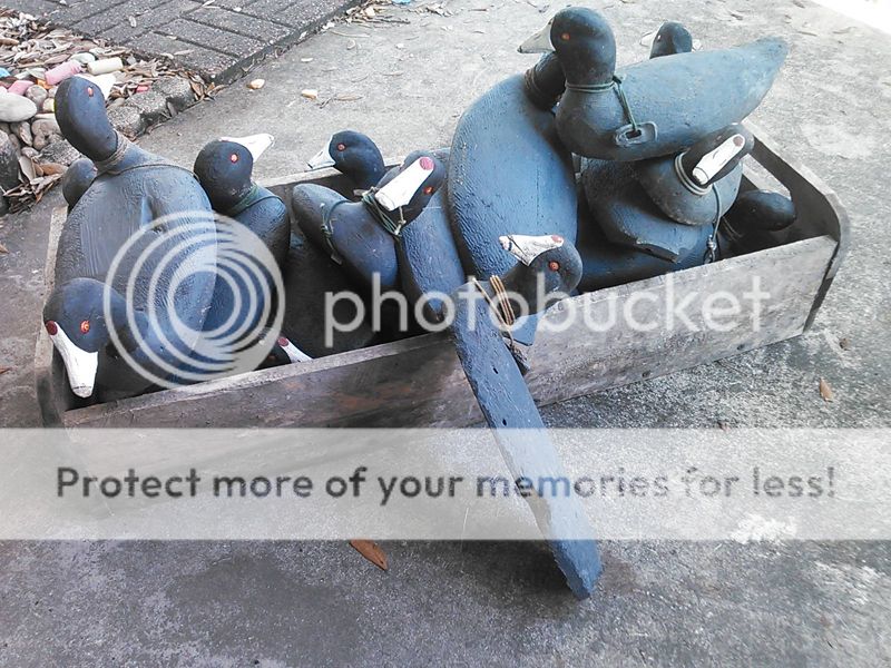 Extreme mediocrity post & pics. | Duckboats